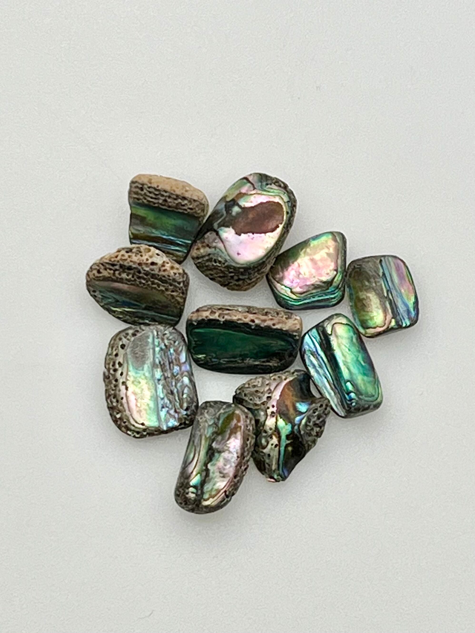 Abalone Shell Slabs – Otto Creek Rock and Gem